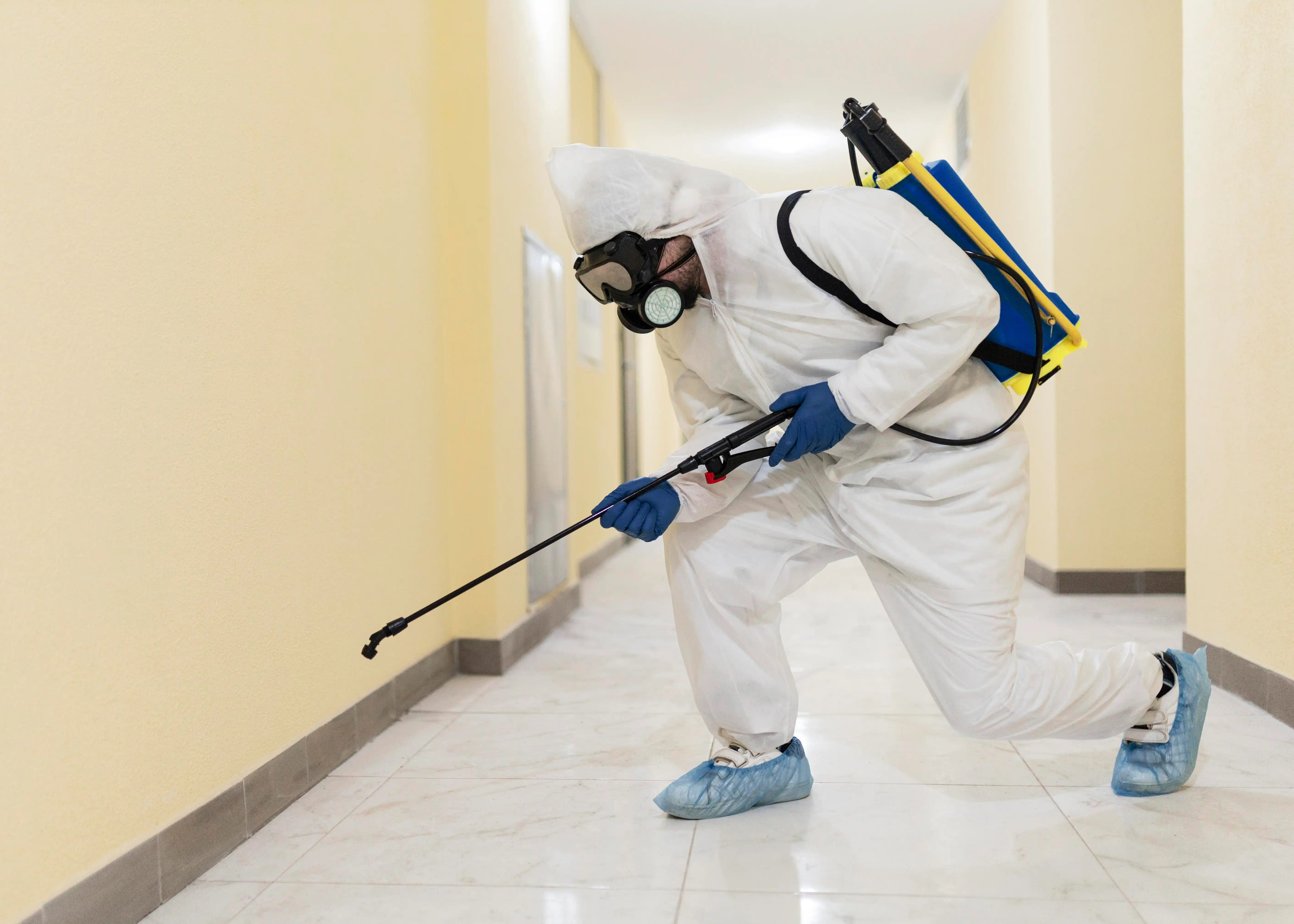 GEF Pest Control | Your Reliable Partner for Pest Management